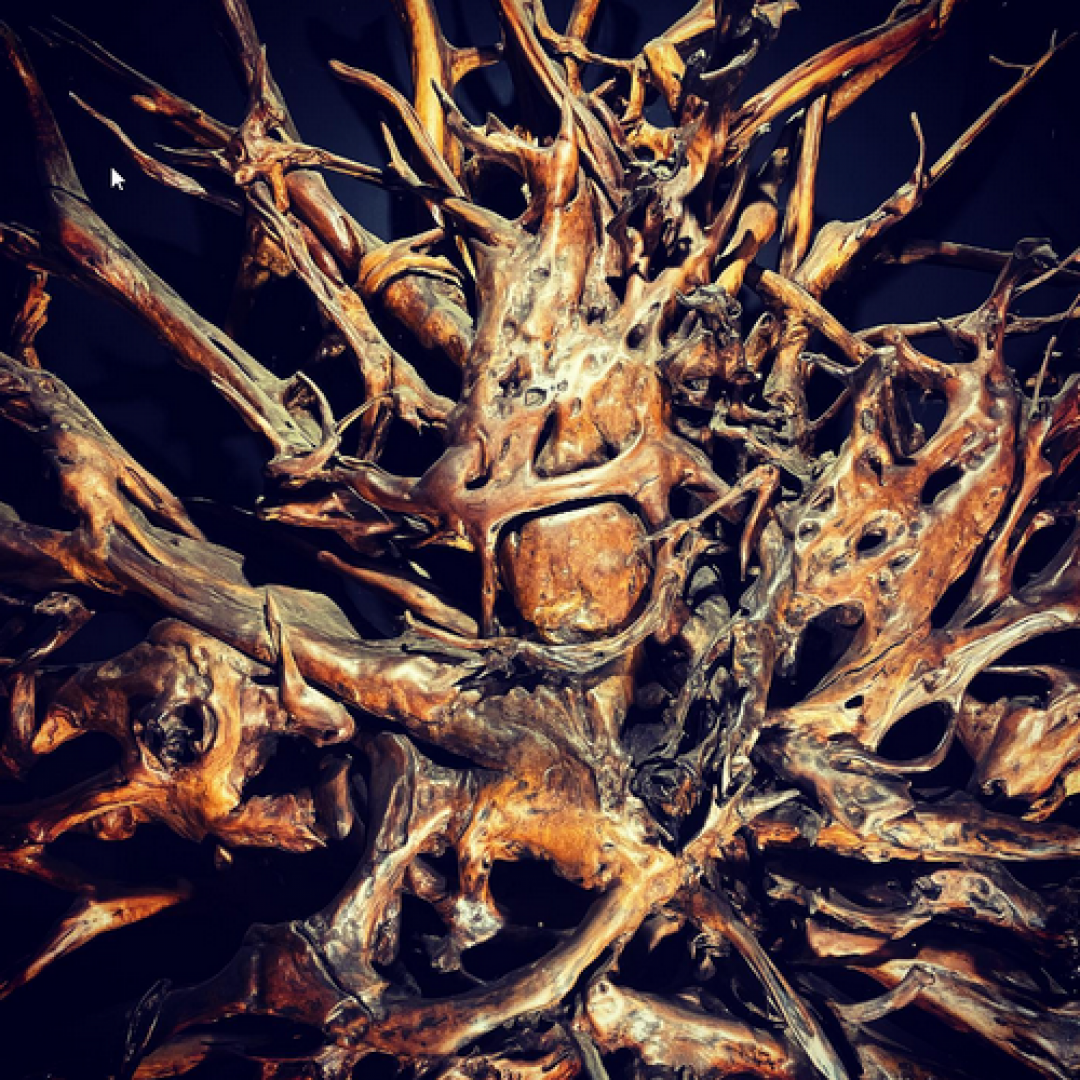 Mingling Waters Official Site - Facilities