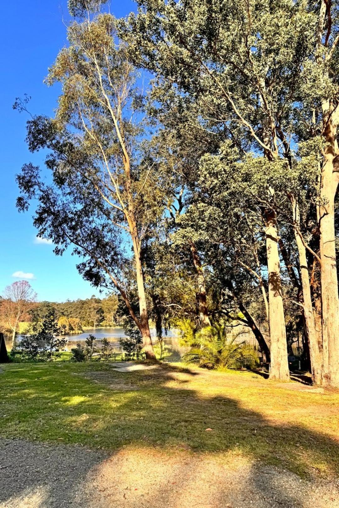 Mingling Waters Official Site - Powered Sites